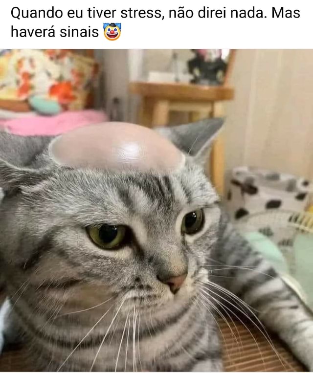 Quando eu tiver stress, não direi nada. Mas haverá sinais - iFunny Brazil