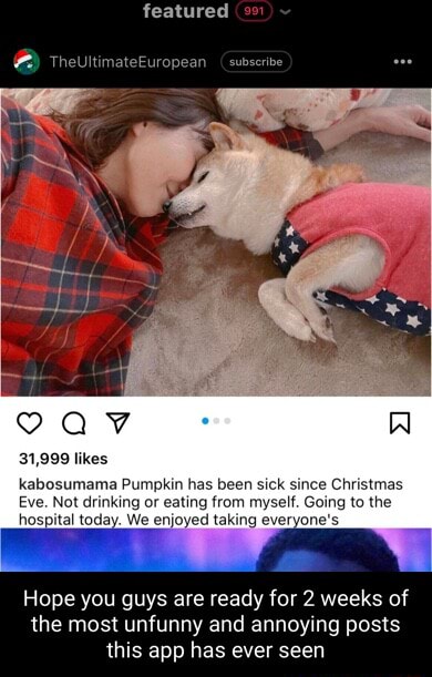 Featured TheultimateEuropean (subseribe 31,999 likes kabosumama Pumpkin has been sick sin Eve ...