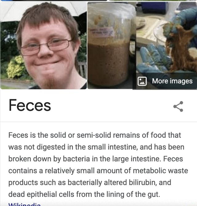 More images Feces Feces is the solid or semi-solid remains of food that ...