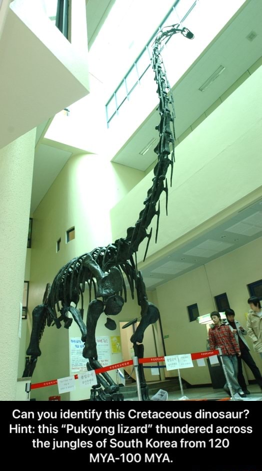 Can you identify this Cretaceous dinosaur? Hint: this "Pukyong lizard ...