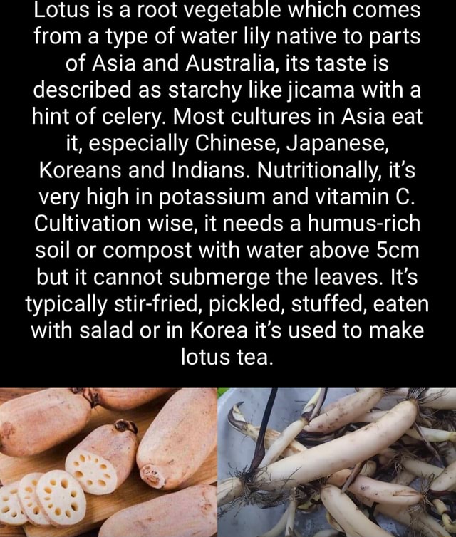 Lotus is a root vegetable wnich comes from a type of water lily native ...