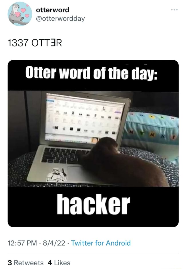 Otterword @otterwordday 1337 OTTAR Otter word of the day: hacker PM - - Twitter for Android ...