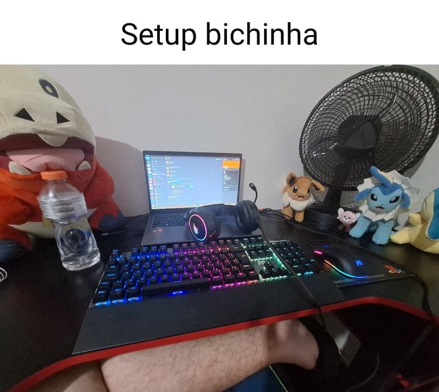 Setup bichinha - iFunny Brazil