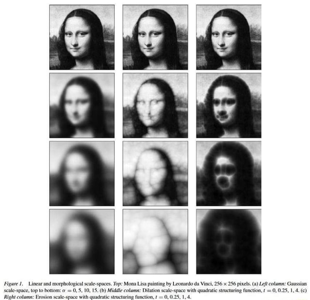 Figure Linear and morphological s ices, Top: Monia Lisa seale-space ...