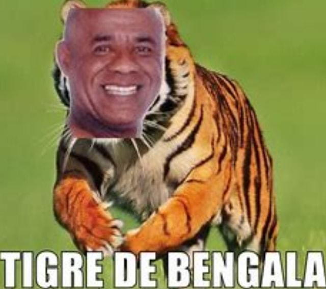 Tigre de bengala - Tigre de bengala TIGRE DE BENGALA - iFunny Brazil