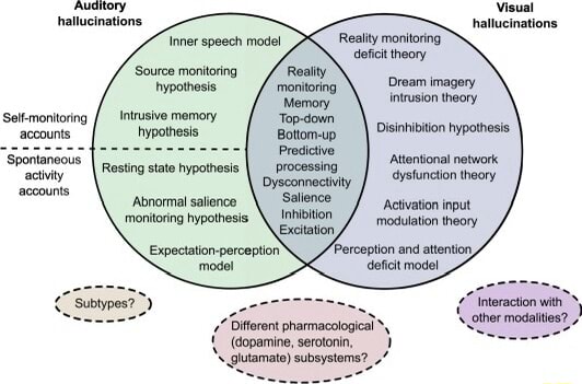 Hallucinations Visual hallucinations 'Inner speech model Reality ...