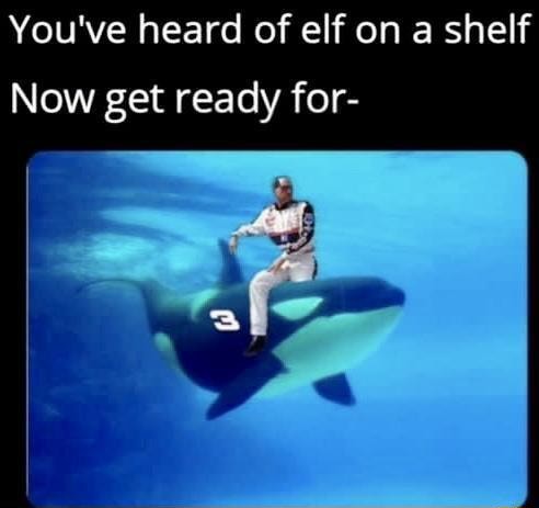 Wall slammer on a sea swammer - You've heard of elf on a shelf Now get ...