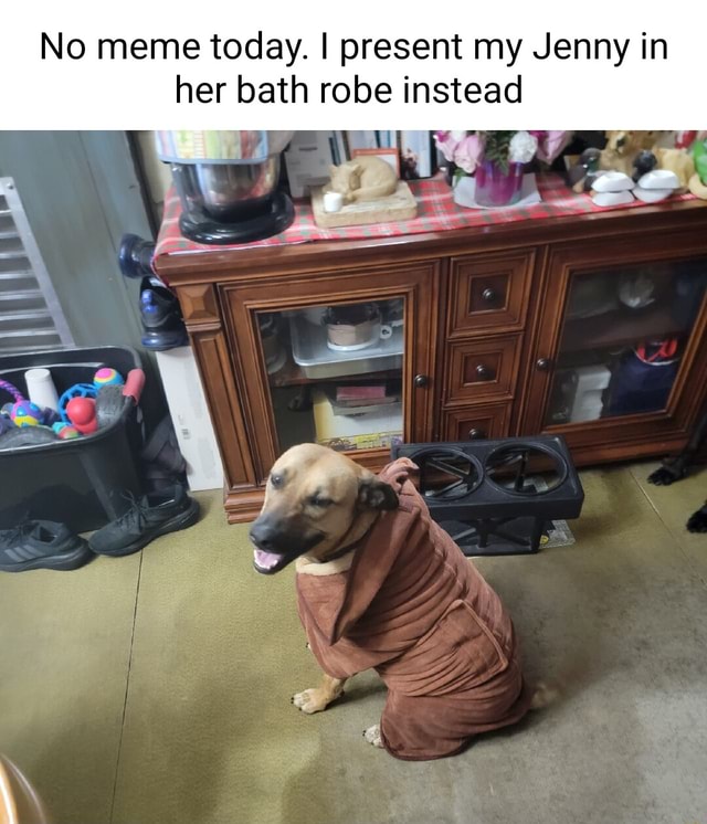 No meme today. I present my Jenny in her bath robe instead - iFunny Brazil