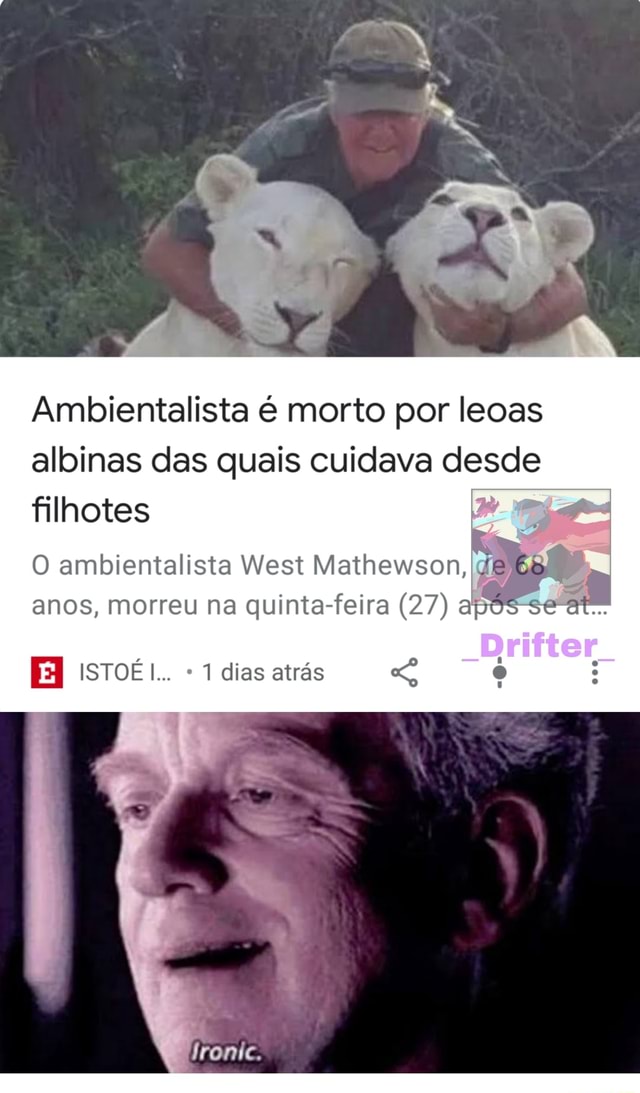 Ambientalista é morto por leoas albinas das quais cuidava desde ...