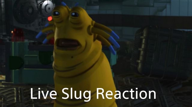 Live Slug Reaction - iFunny Brazil