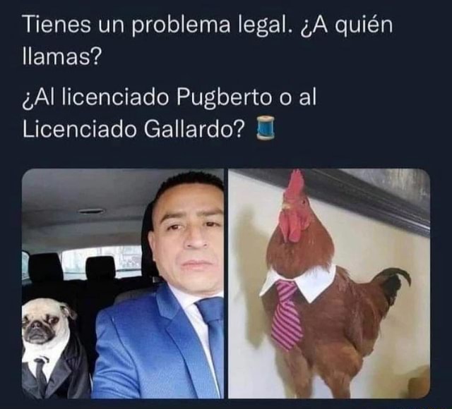 Tienes un problema legal. quién llamas? licenciado Pugberto o al ...