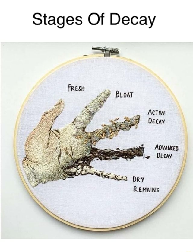 Stages Of Decay ACTIVE DECAY ORY REMAINS - iFunny Brazil