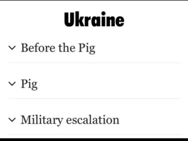 Ukraine Before the Pig Pig Military escalation - iFunny Brazil