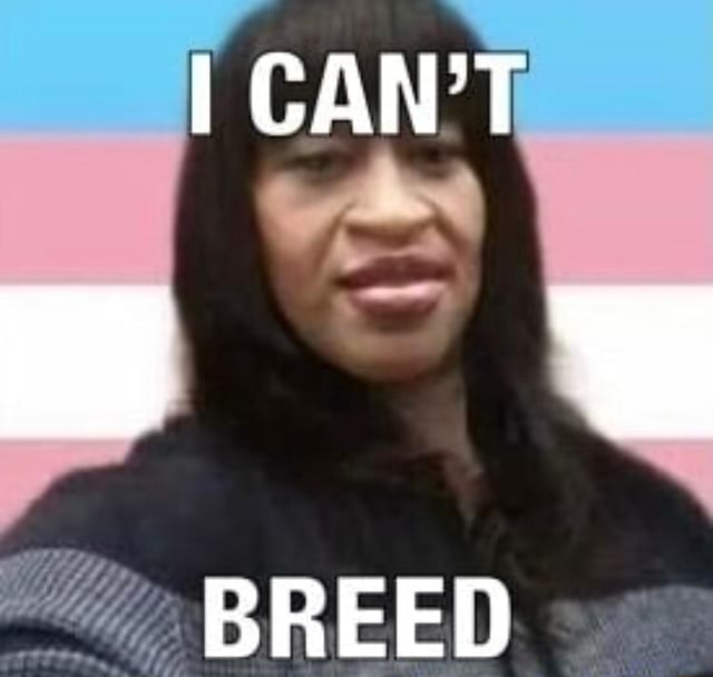 I CAN'T BREED - iFunny Brazil