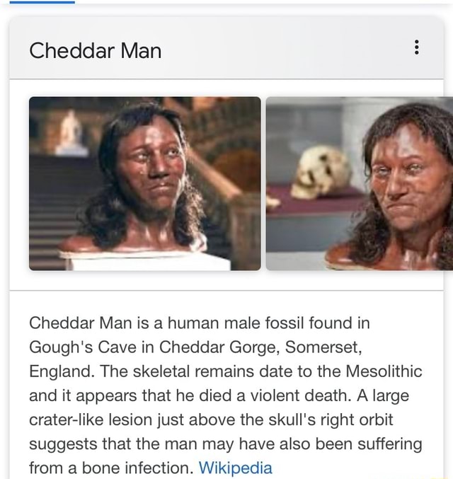 Cheddar Man Cheddar Man is a human male fossil found in Gough's Cave in ...