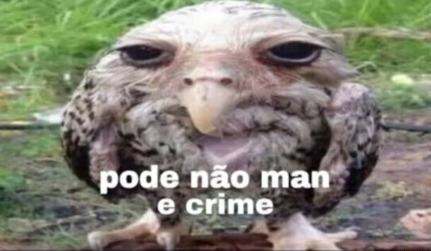 Pode não man e crime - iFunny Brazil