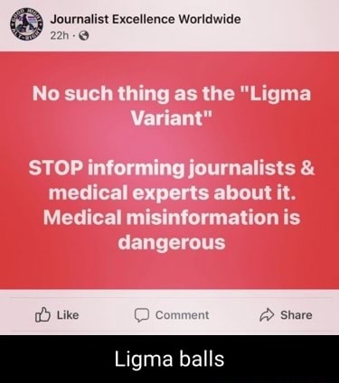 Journalist Excellence Worldwide No such thing as the "Ligma Variant ...