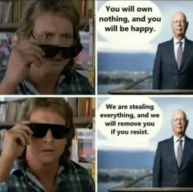 You will own nothing, and you will be happy. We are stealing everything ...
