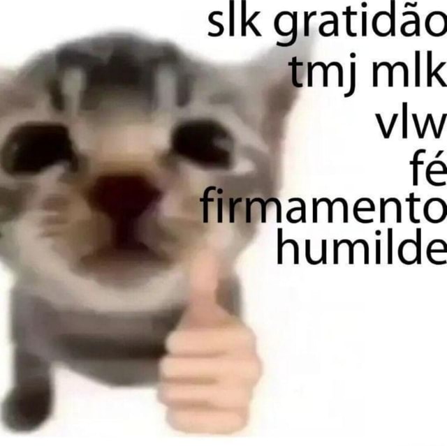 Slk gratidão tmj mlk "humilde - iFunny Brazil