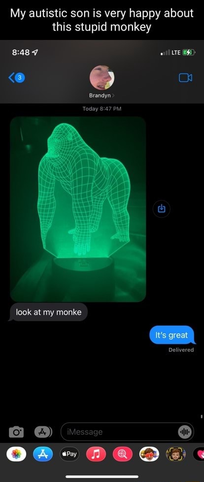 My autistic son is very happy about this stupid monkey on Brandyn Today ...