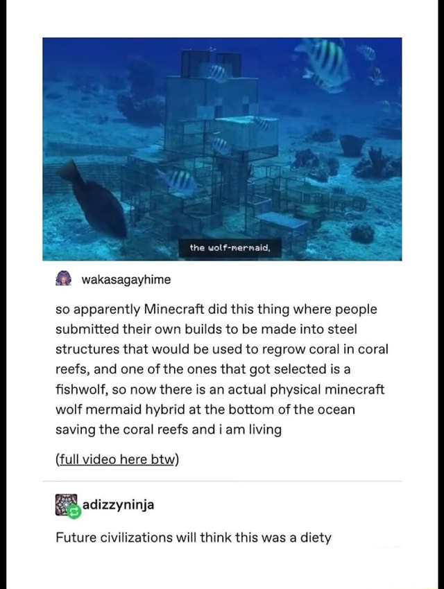 The so apparently Minecraft did this thing where people submitted their ...