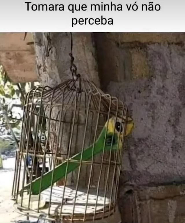 Tomara que minha vó não perceba - iFunny Brazil