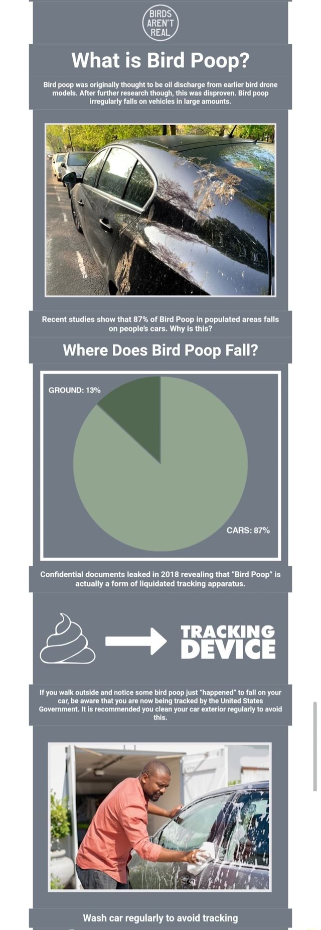 What is Bird Poop? Bird poop was originally thought to be oil discharge ...