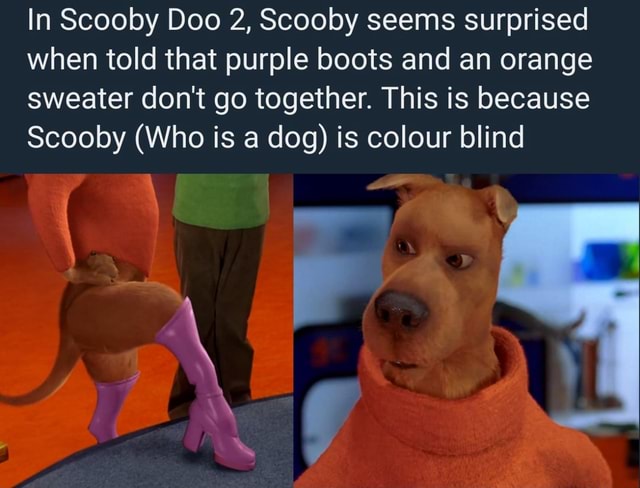 In Scooby Doo 2, Scooby seems surprised when told that purple boots and ...