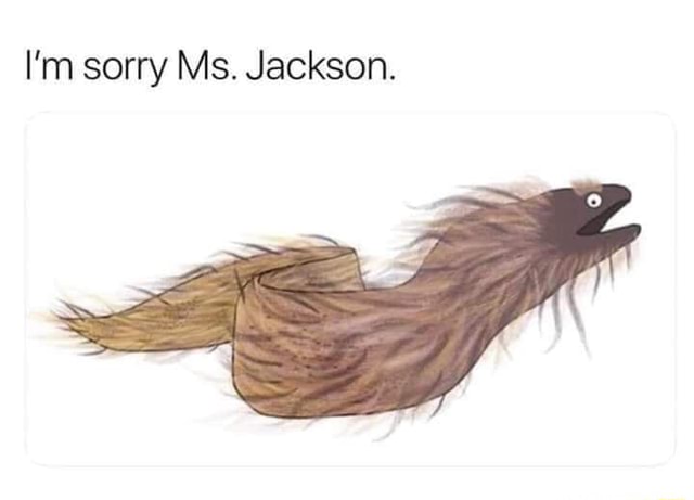 I'm sorry Ms. Jackson. - iFunny Brazil