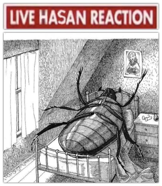 LIVE HASAN REACTION is - iFunny Brazil