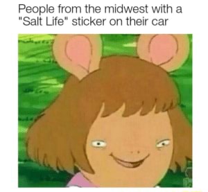 People from the midwest with a "Salt Life" sticker on their car gotta ...