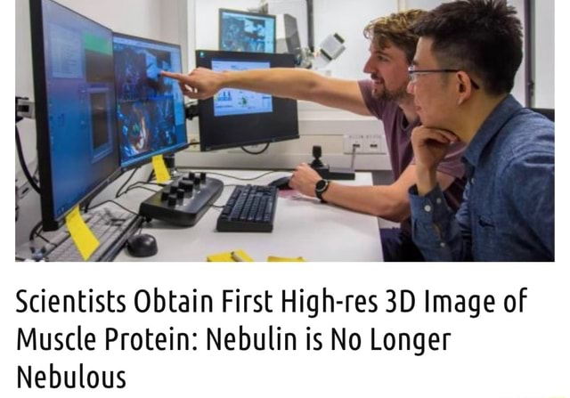 Scientists Obtain First High-res Image of Muscle Protein: Nebulin is No ...