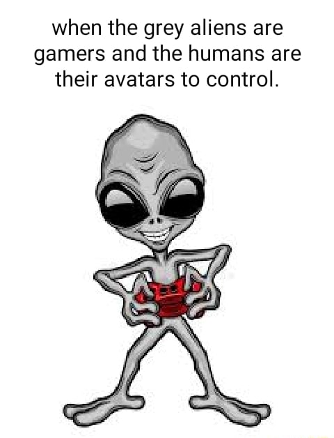 When the grey aliens are gamers and the humans are their avatars to ...