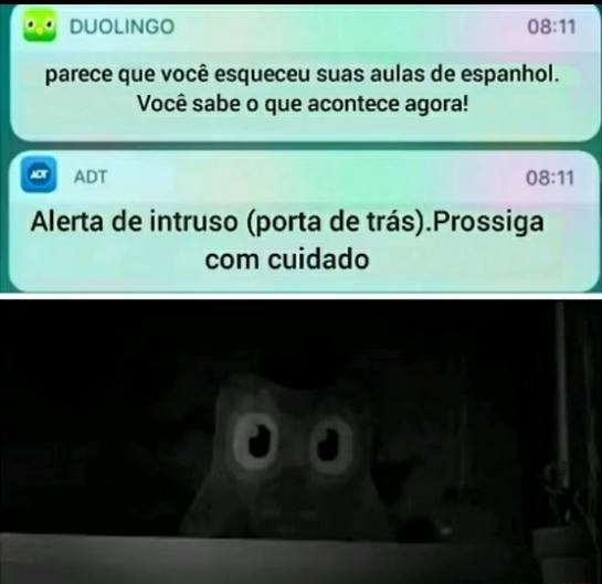 DUOLINGO parece que você esqueceu suas aulas de espanhol Você sabe o ...