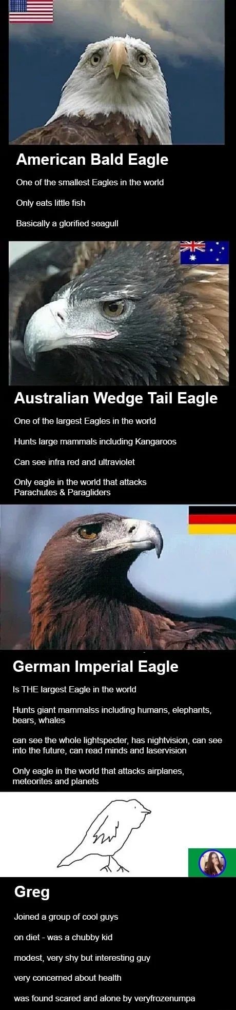 American Bald Eagle One of the smallest Eagles in the world Only eats little fish One of the ...