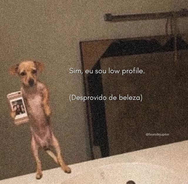 PR Sim, eu sou low profile. (Desprovido de beleza) Qfasesdejupiter ... PR Sim, eu sou low profile. (Desprovido de beleza) Qfasesdejupiter ...