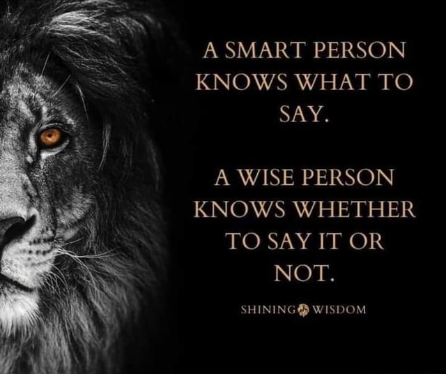 A SMART PERSON KNOWS WHAT TO SAY. A WISE PERSON KNOWS WHETHER TO SAY IT ...