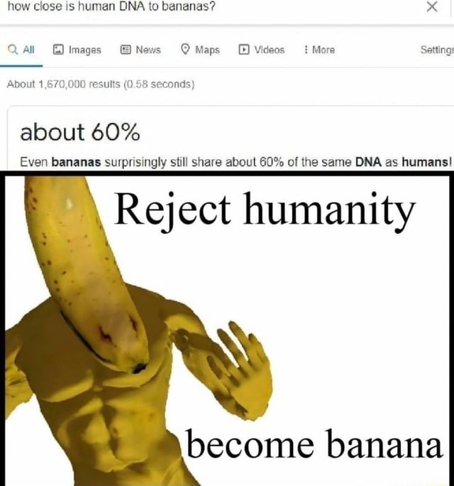 How close is human DNA to bananas? Qa E) images News Maps Videos More ...