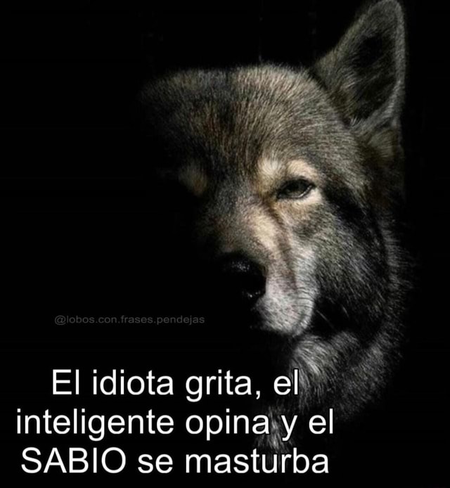 El idiota grita, el inteligente opina el SÁBIO se masturba - iFunny Brazil