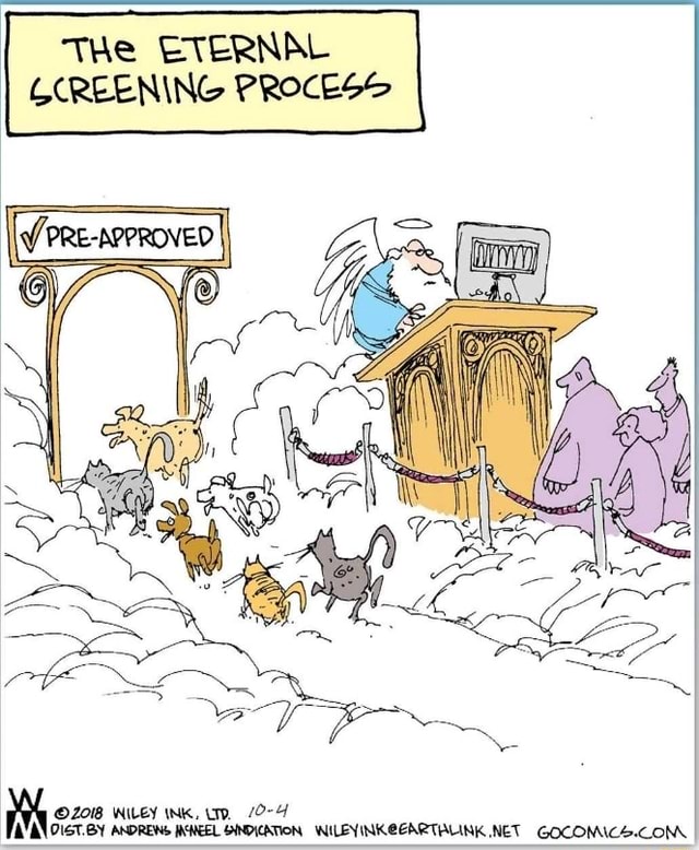 THe ETERNAL ECREENING PROCESS WILEY INK, /0-4 ATAN ANDRENS IAREEL ...