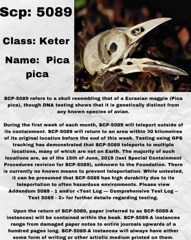 Scp: 5089 Class: Keter Name: Pica pica SCP-5089 refers to a skull ...
