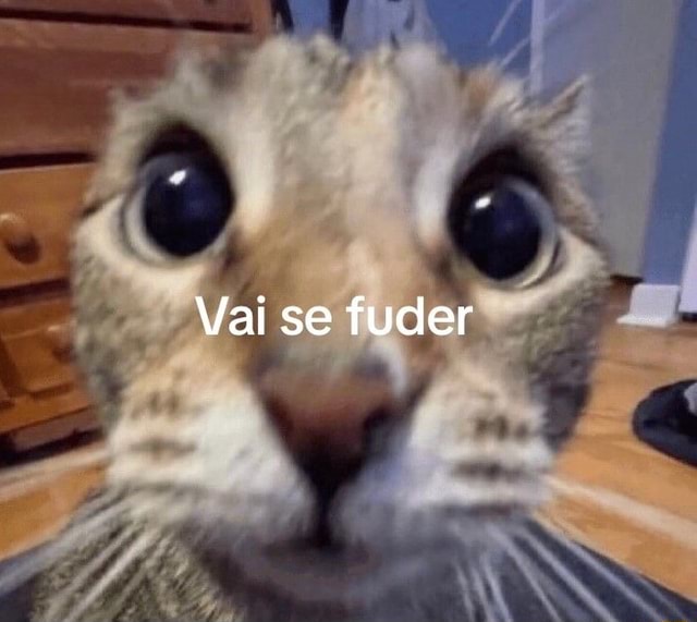 Vai Se Fuder Ifunny Brazil