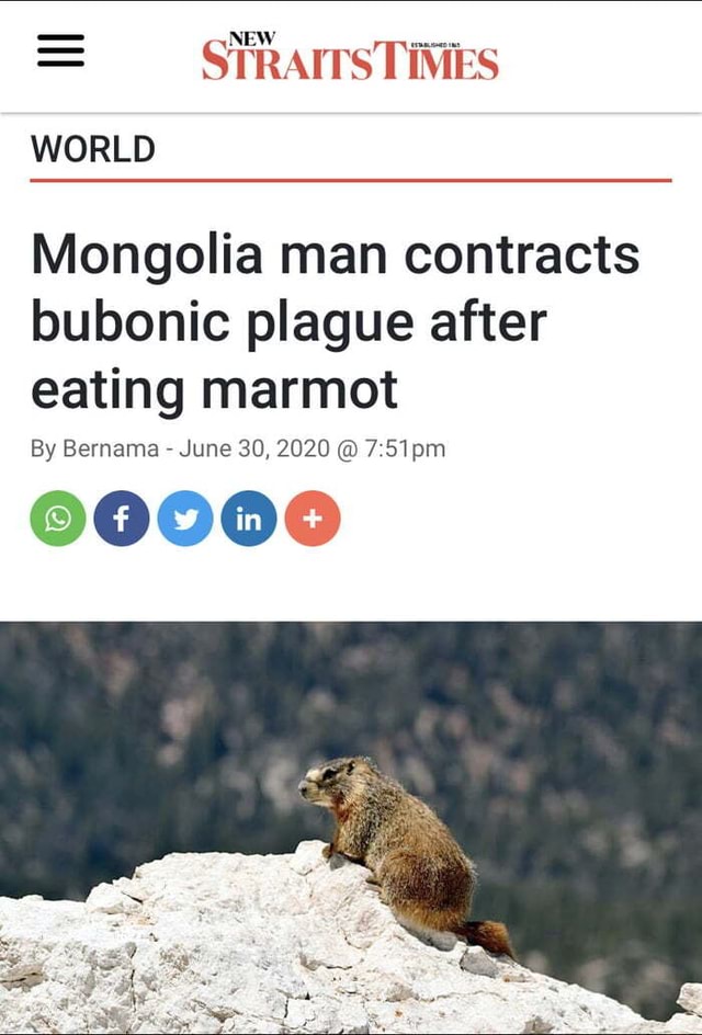 - STRAITSTIMES WORLD Mongolia man contracts bubonic plague after eating ...
