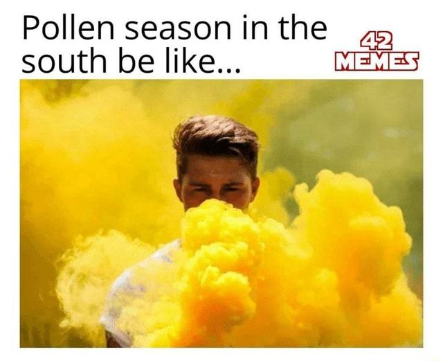 Pollen season in the south be like... MEMES - iFunny Brazil