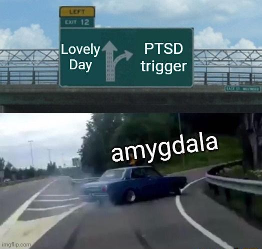 Trauma/PTSD memes - Lovely PTSD Day trigger gd amygdala - iFunny Brazil