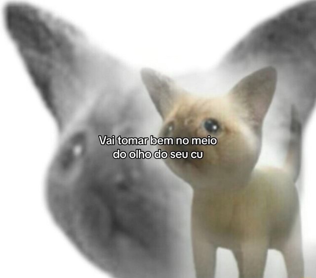 Vai Tomar Bem No Meio Do Olho Do Seu Cu Ifunny Brazil