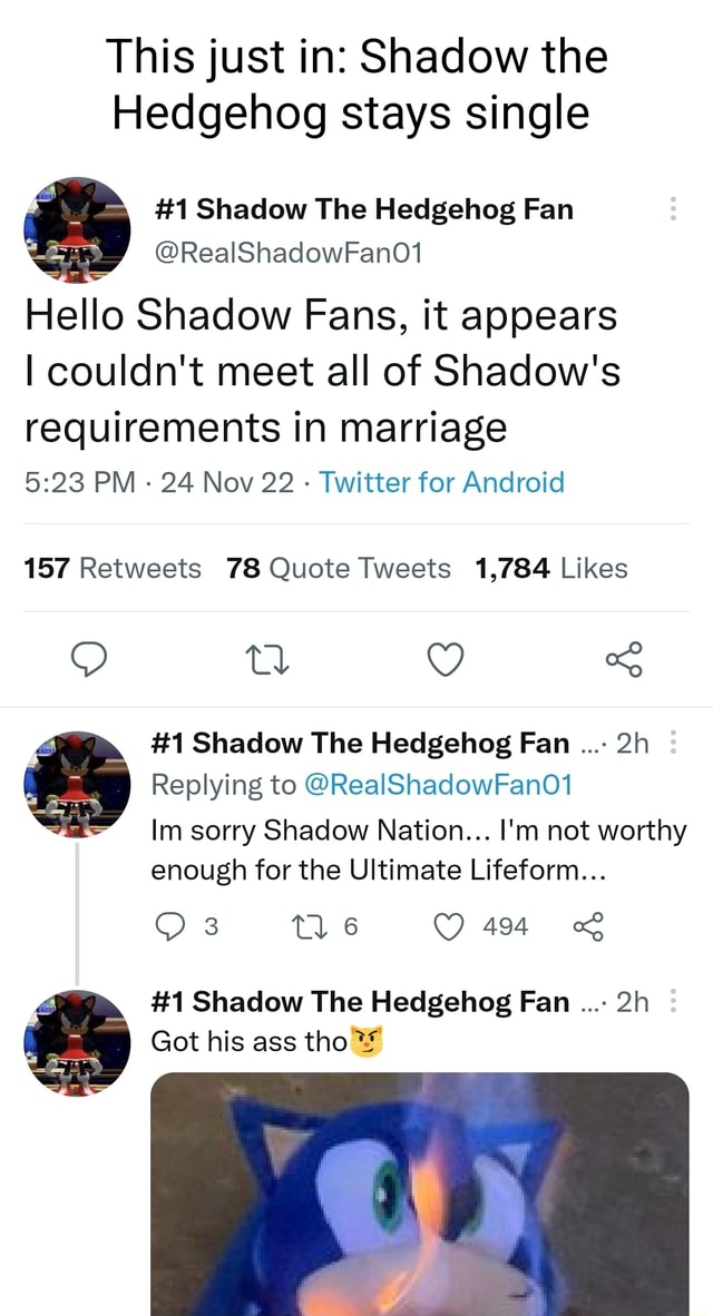 This just in: Shadow the Hedgehog stays single #1 Shadow The Hedgehog ...