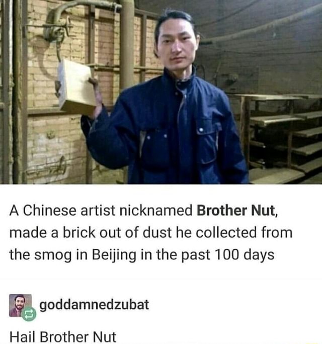 Ad A Chinese artist nicknamed Brother Nut, made a brick out of dust he ...