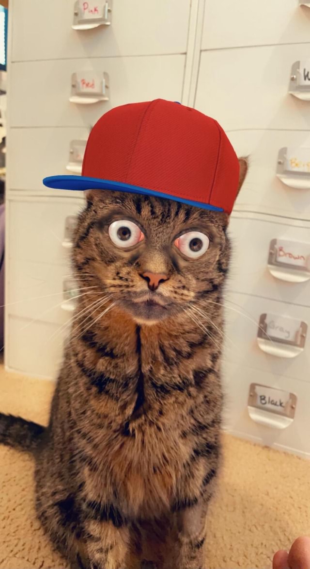 While “doom scrolling” I decided to open Snapchat and try out a few ...