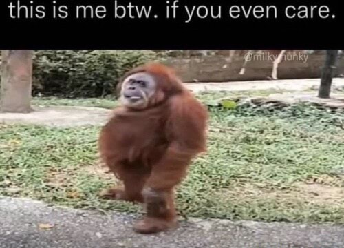 This is me btw. if you even care. - iFunny Brazil